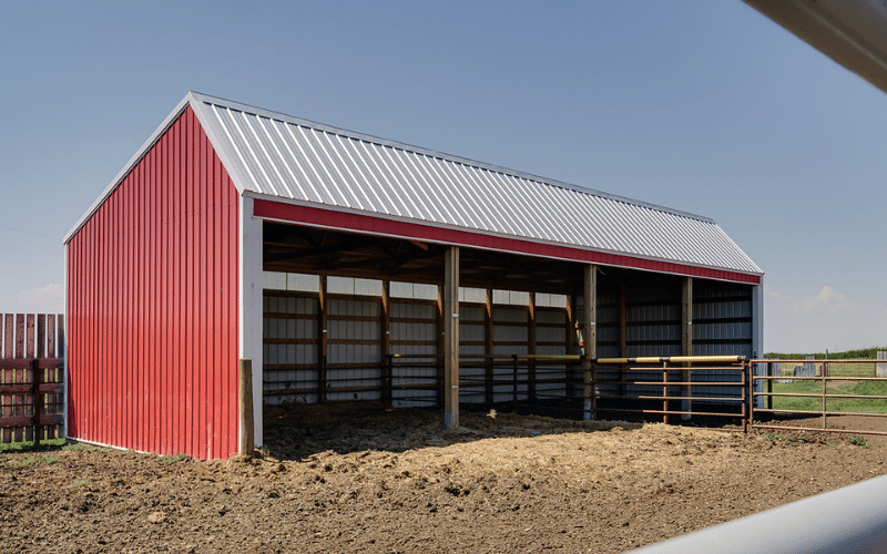 Doug's Custom Toy Shop - Integrity